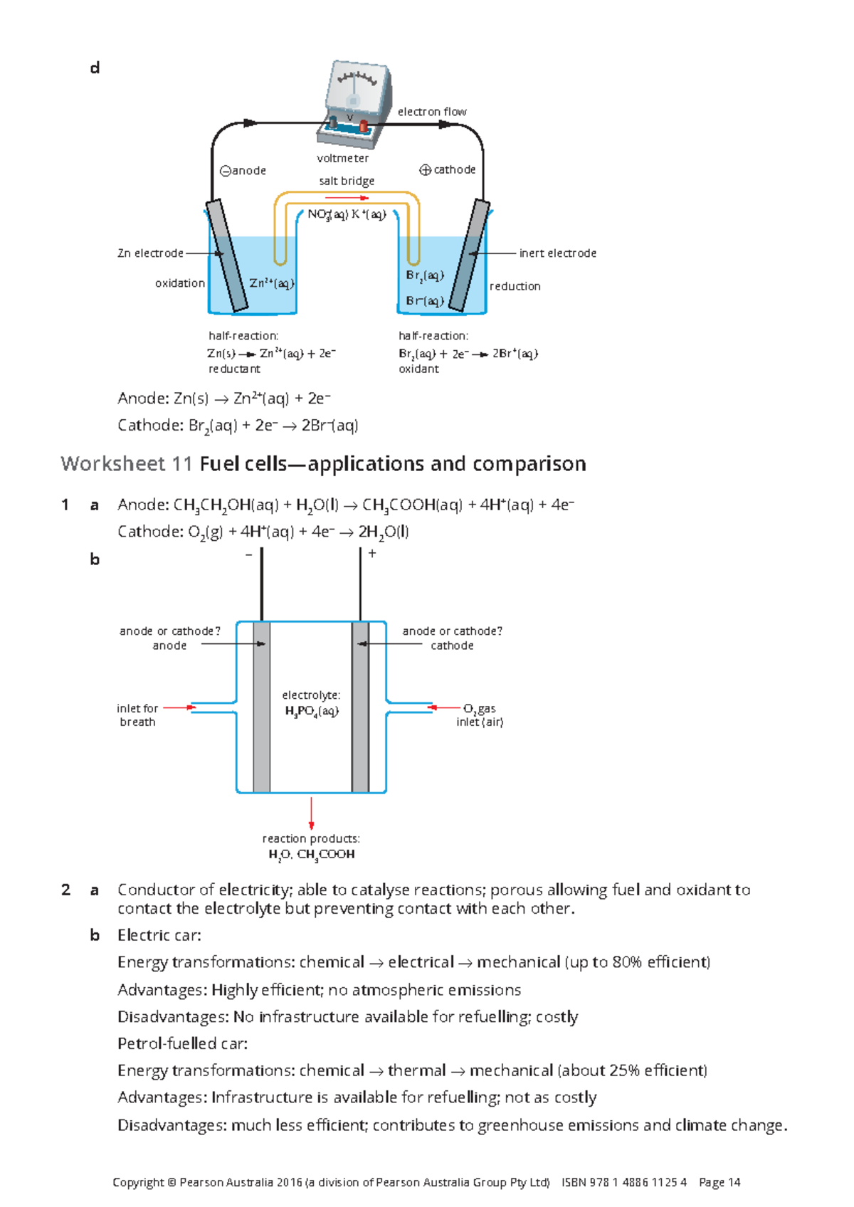Fuel Cells Worksheet 11: Anode, Cathode, and Reactions Analysis - Studocu