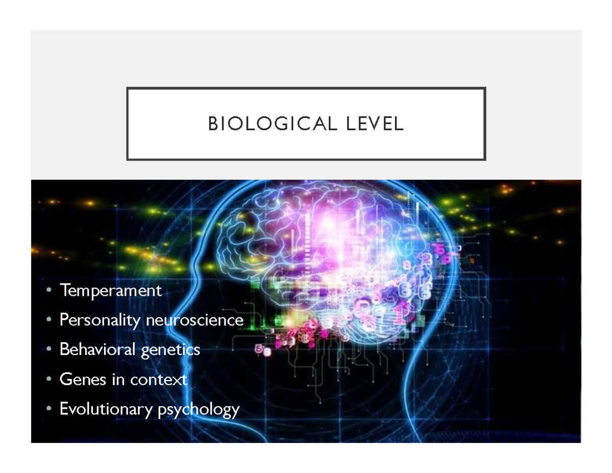 Understanding Temperament: Biological Foundations of Personality (PSY 101) - Studocu