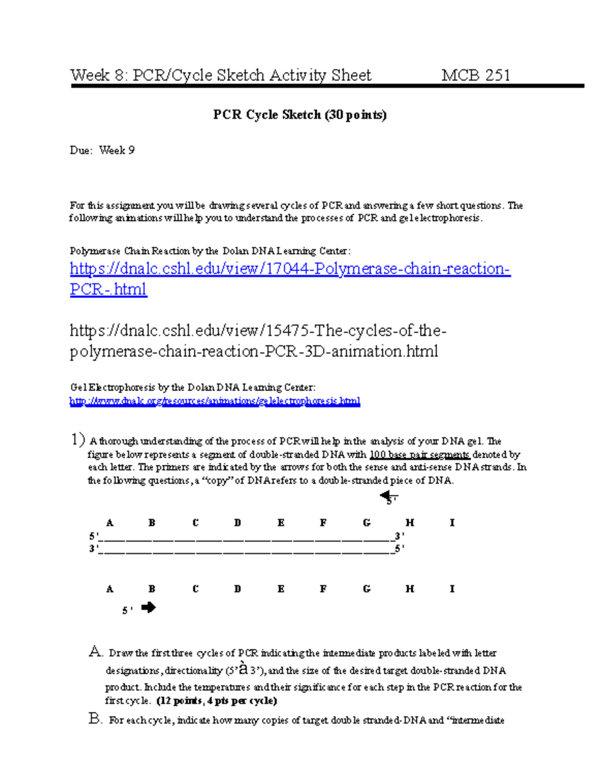 MCB 251 - PCR Sketch - Week 8 : PCR/Cycle Sketch Activity Sheet MCB 251 ...