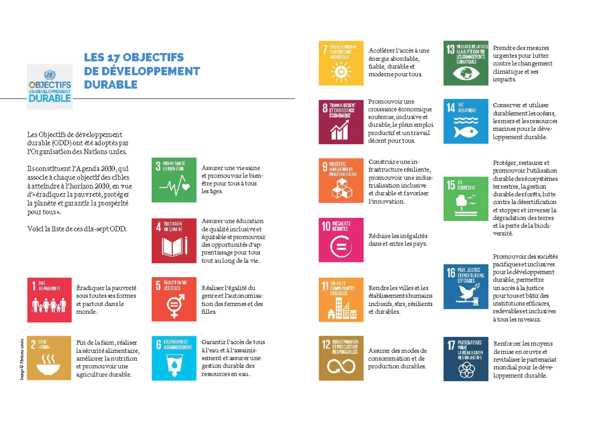 LES 17 ODD : Objectifs de Développement Durable et Actions à Prendre ...