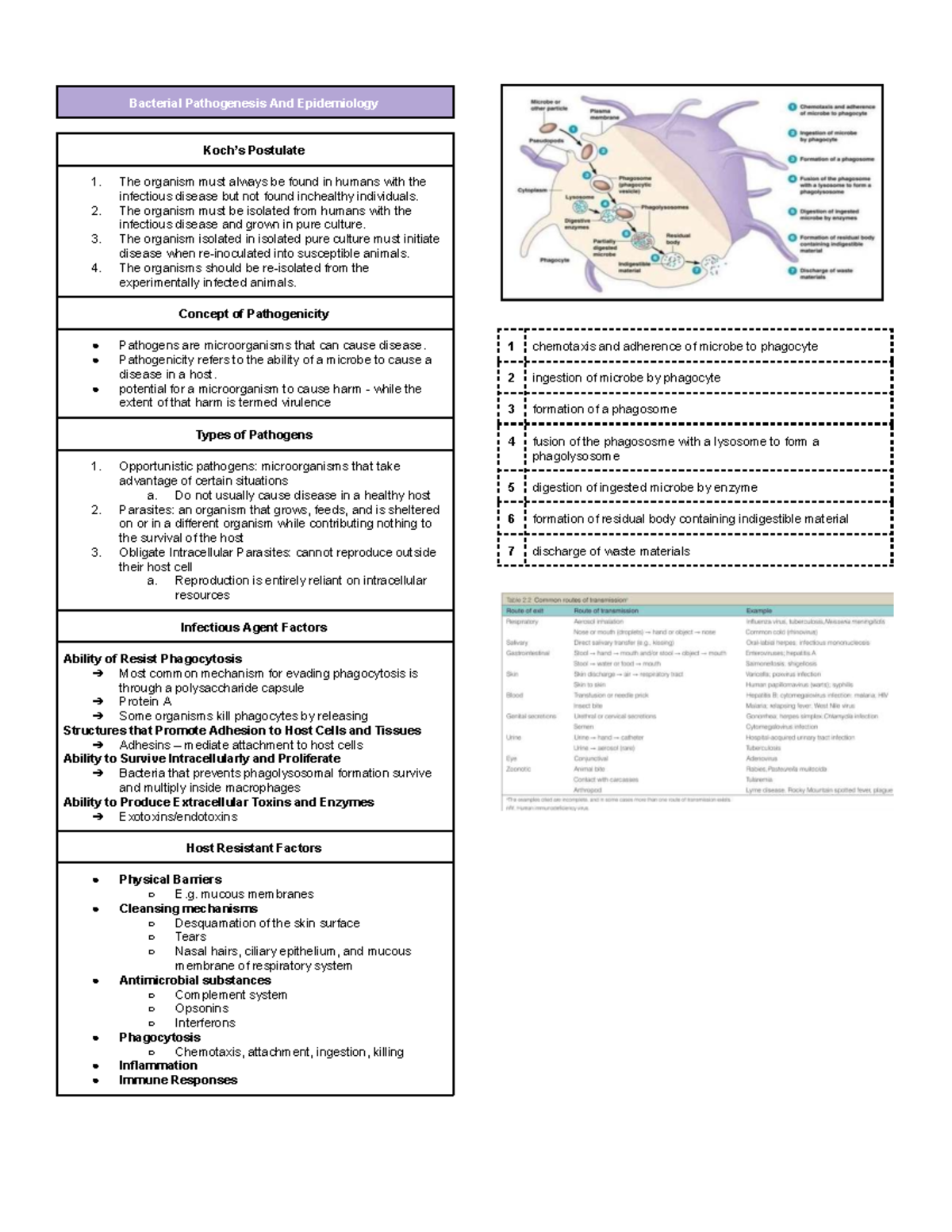Bacterial Pathogenesis & Epidemiology: Key Concepts & Factors - Studocu