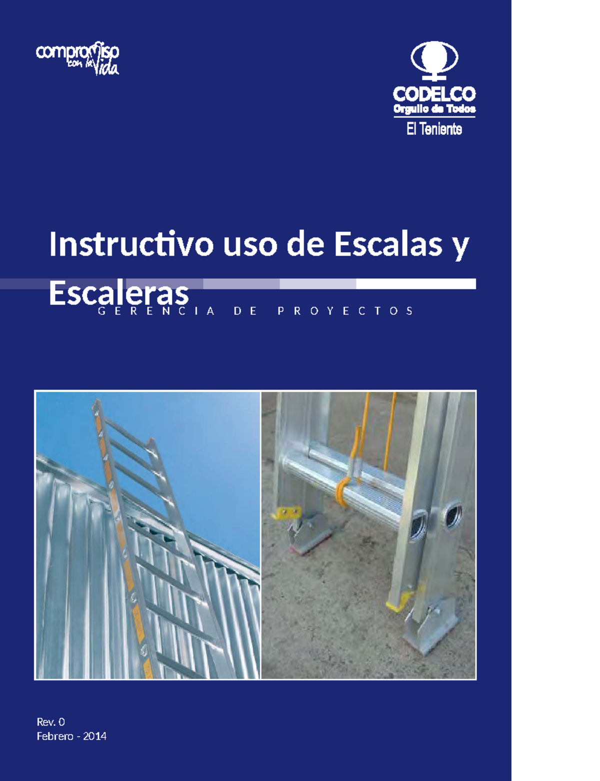 Formato Instructivo para escaleras en Centros de trabajo - 1 ####### Instructivo uso de Escalas ...