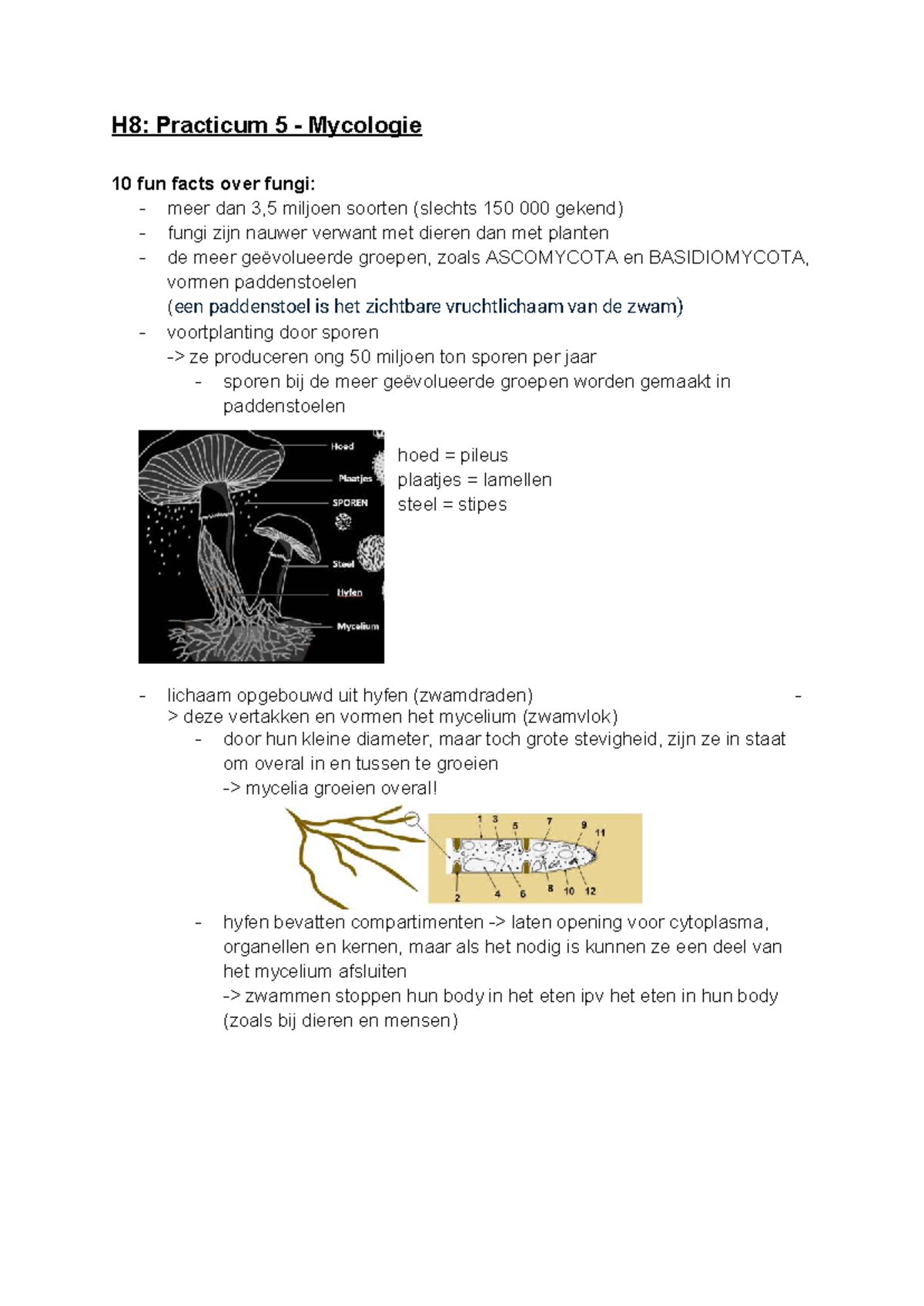 H8: Practicum 5 - 10 Fascinerende Feiten over Schimmels - Studocu
