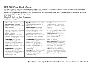 [Solved] Draw a representation of DNA replication Follow the directions ...