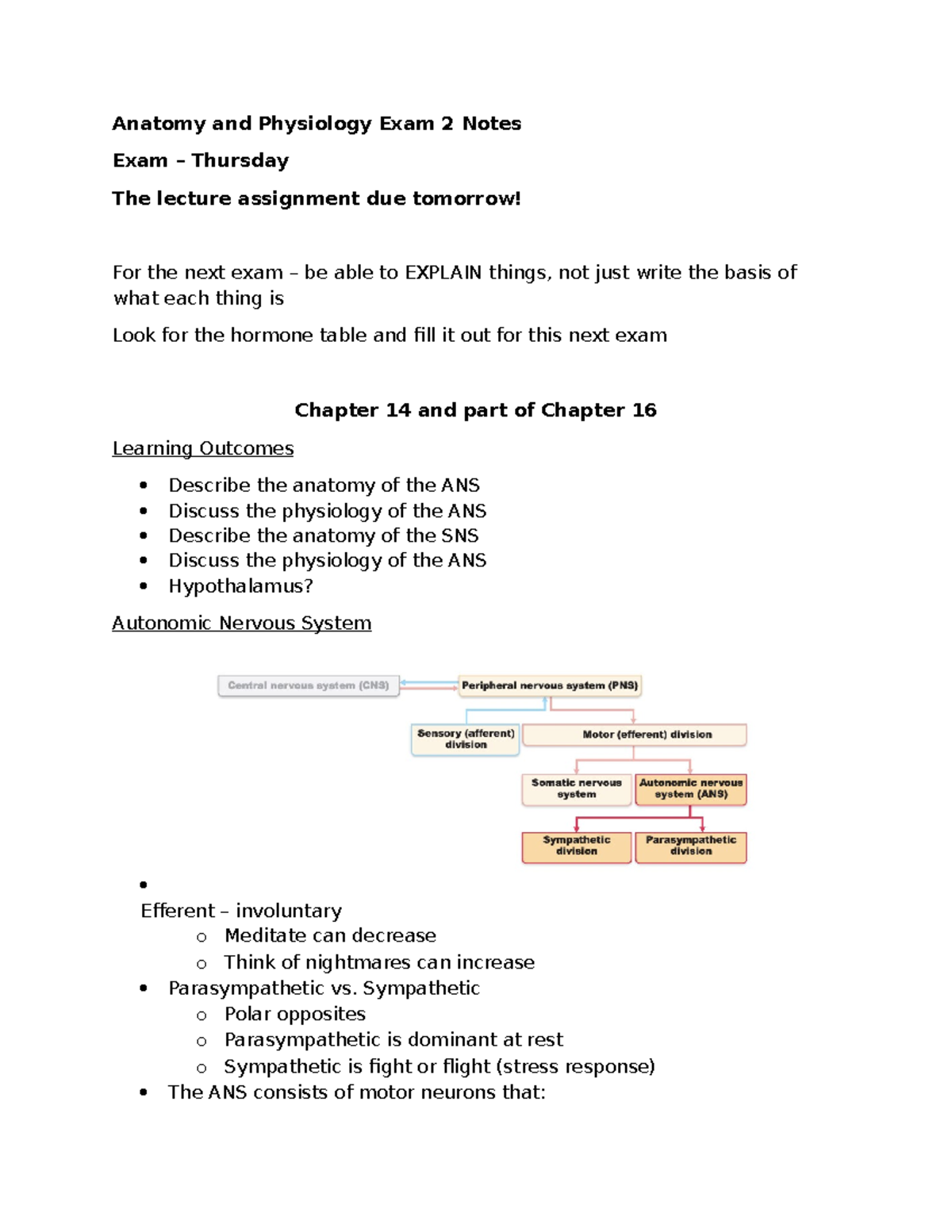 Anatomy and Physiology Exam 2 Study Notes: ANS and Endocrine Systems ...