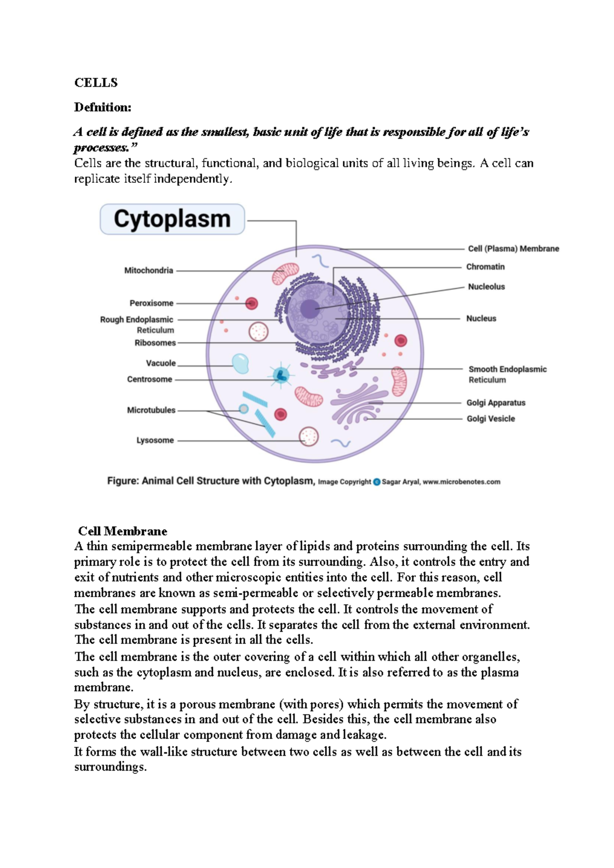 AP1 - Anatomy: Understanding Cell Structure and Functions - Studocu