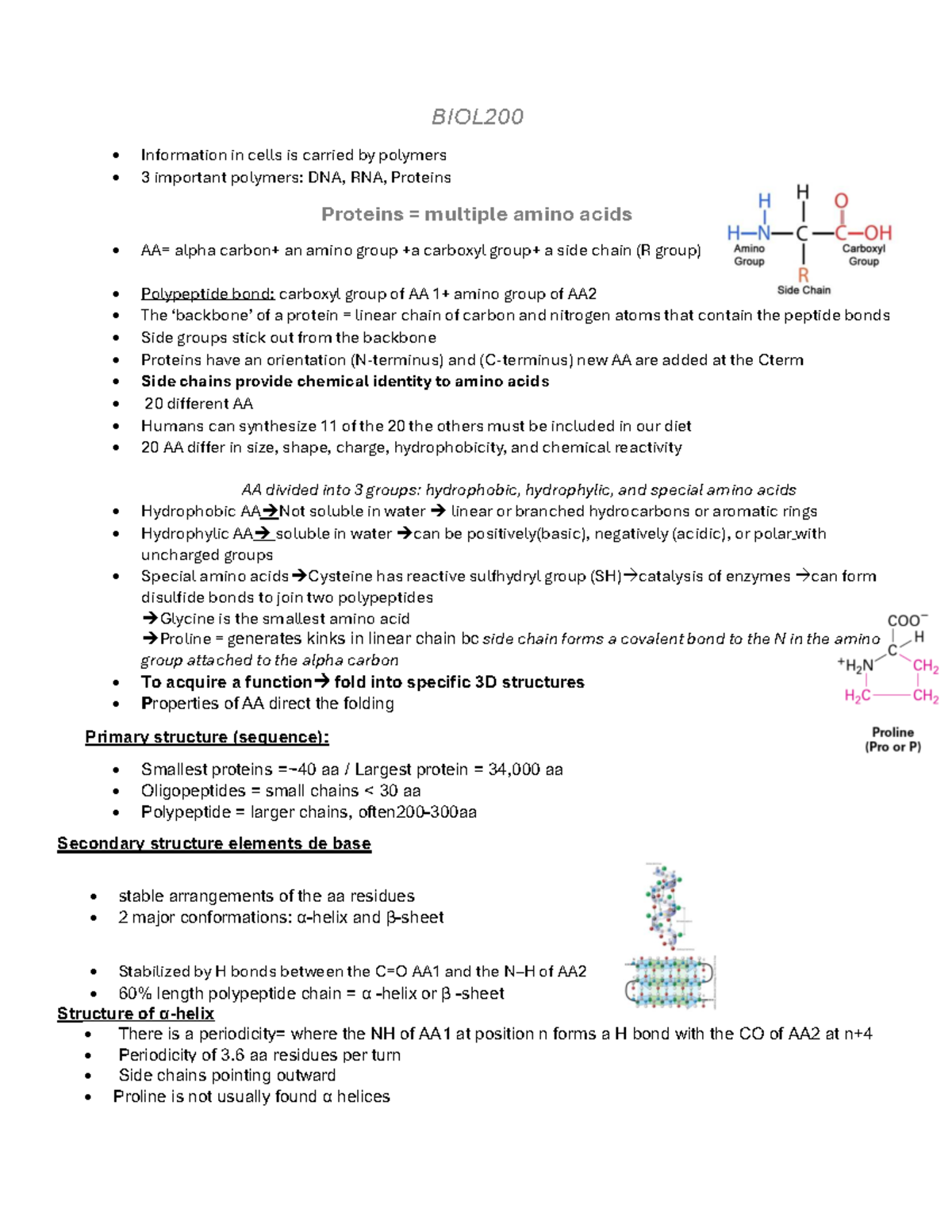 BIOL200 Lecture Notes: Key Concepts of Proteins and Amino Acids - Studocu