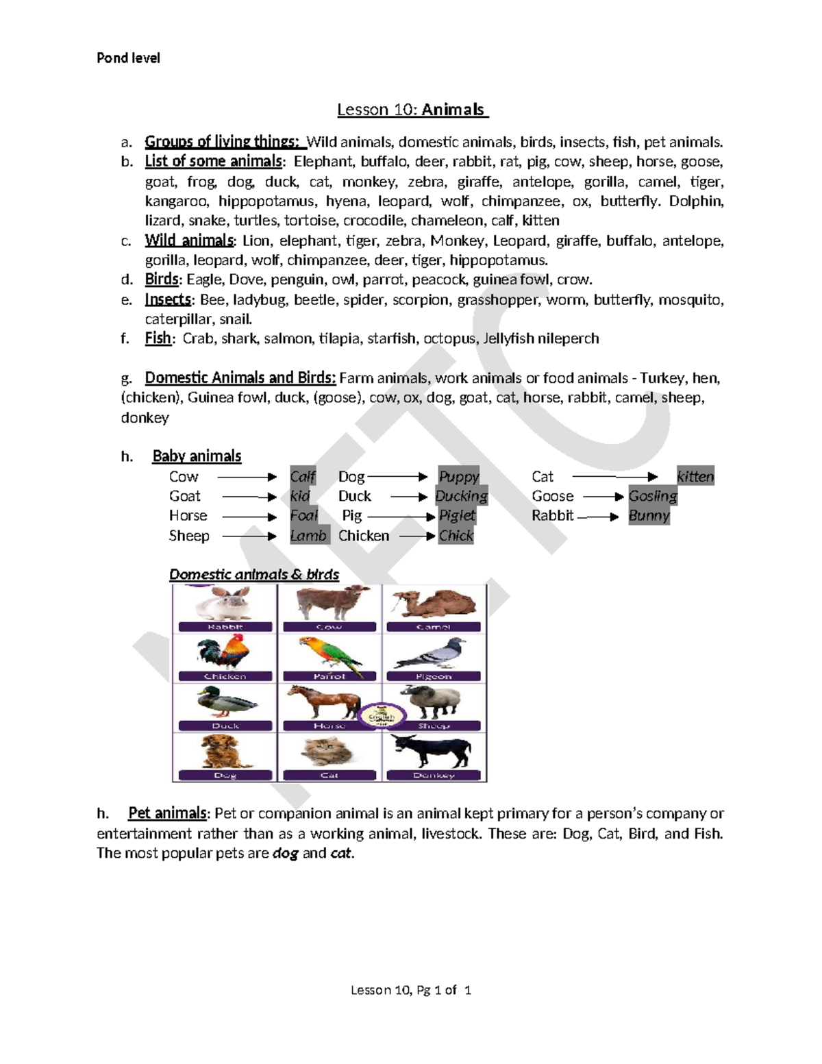 Lesson 10: Overview of Animal Groups and Their Characteristics - Studocu