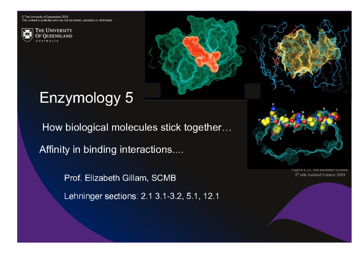 Enzymology 5: Binding Interactions & Kd Calculations Overview - Studocu