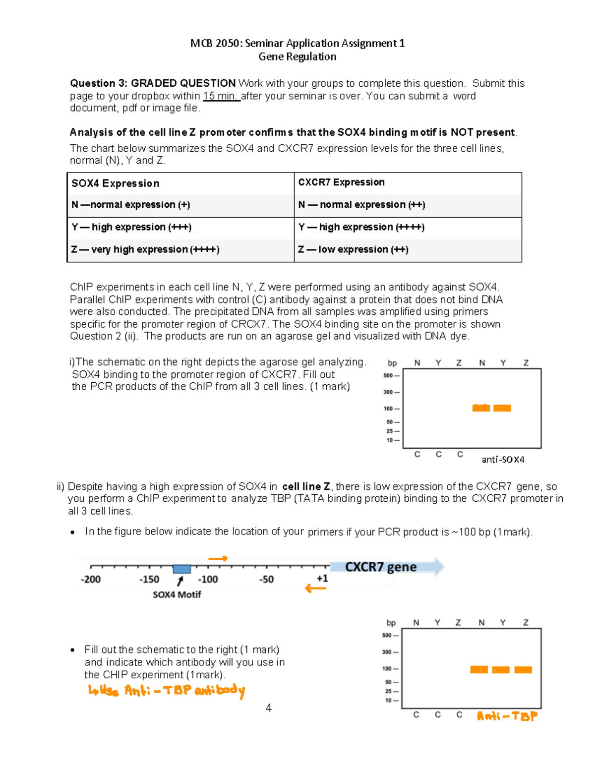 Gene regulation Seminar 1 PDF1 - MCB 2050 : Seminar Application ...