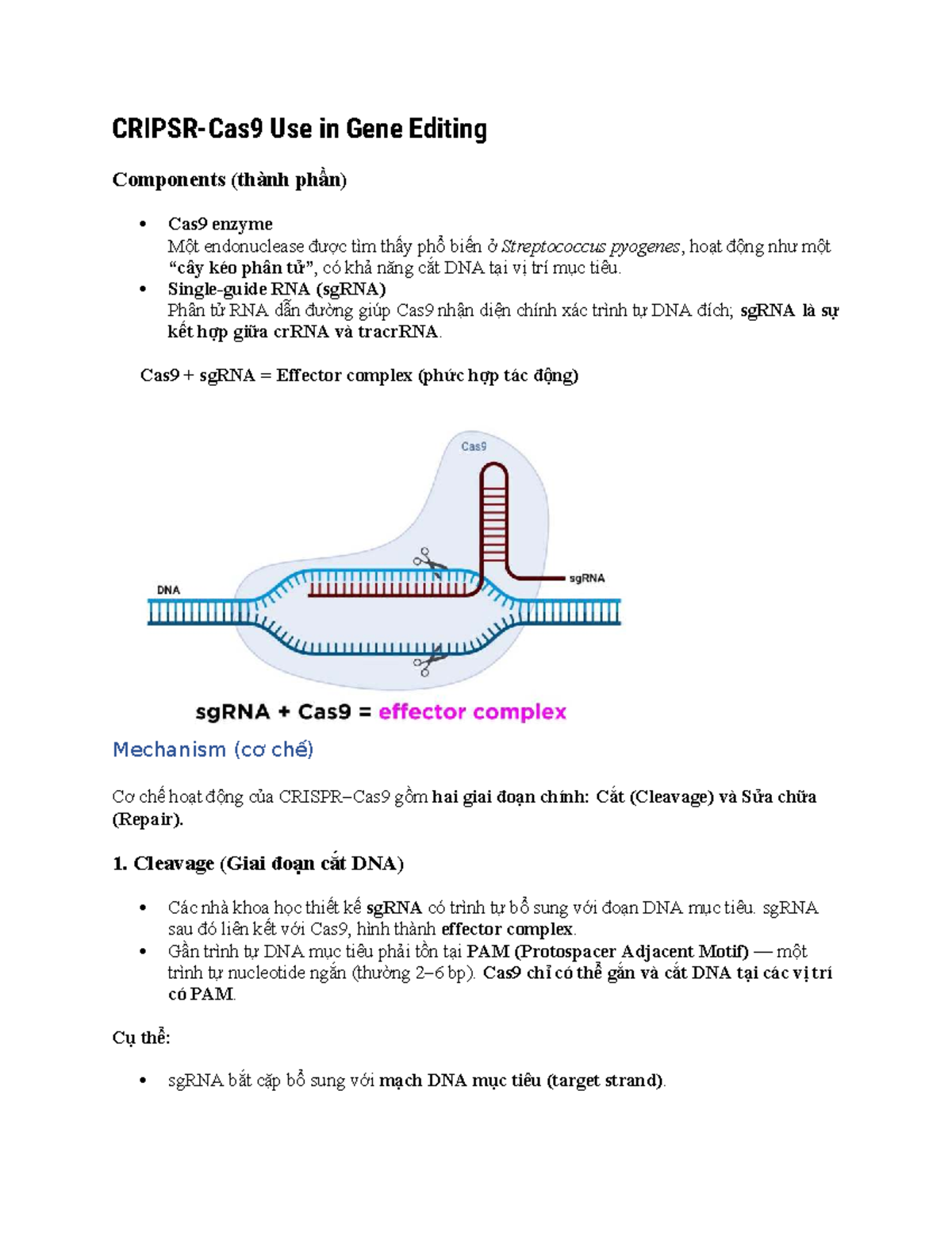 Nội dung cốt lõi về CRISPR và Prime Editing (Gene Editing) - Studocu
