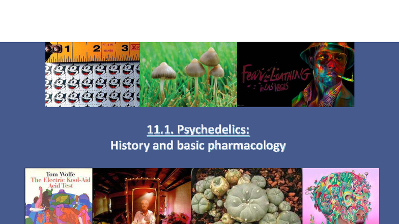 Psychedelics and Their Mechanisms: Overview and History of ...