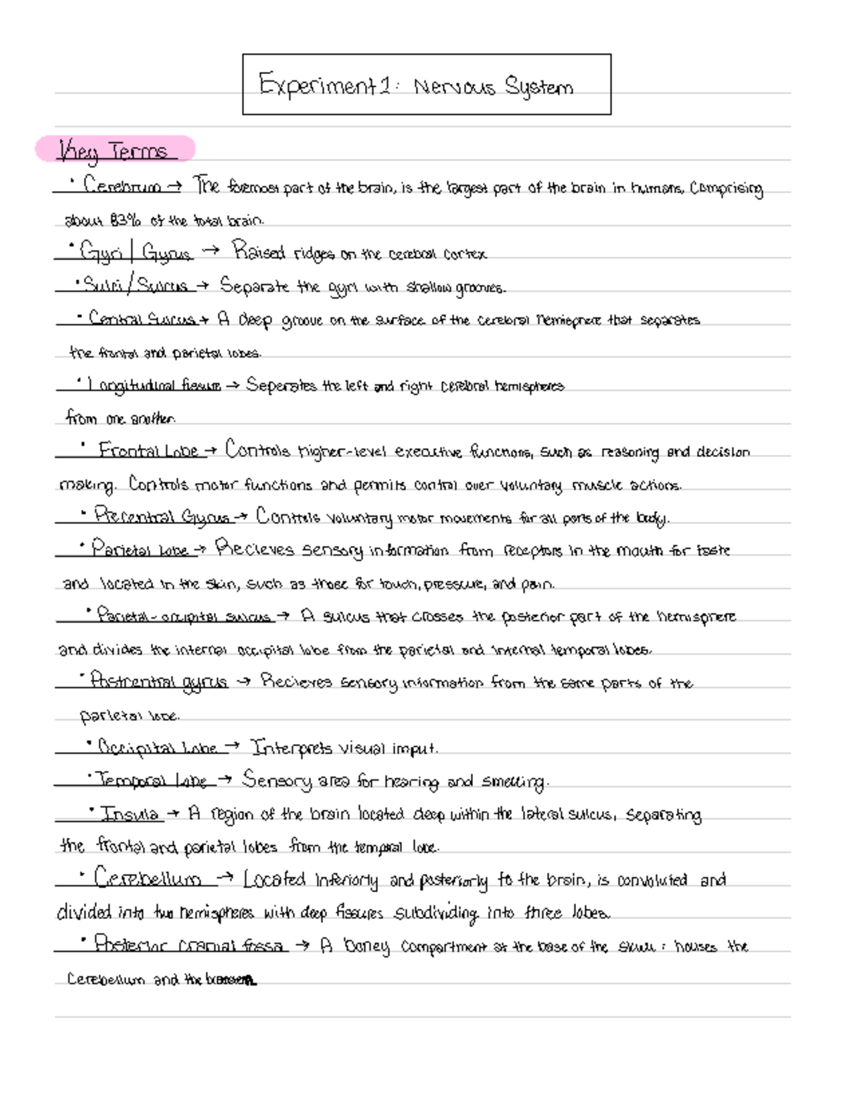 Lab 1: Key Terms and Concepts of the Nervous System - Studocu