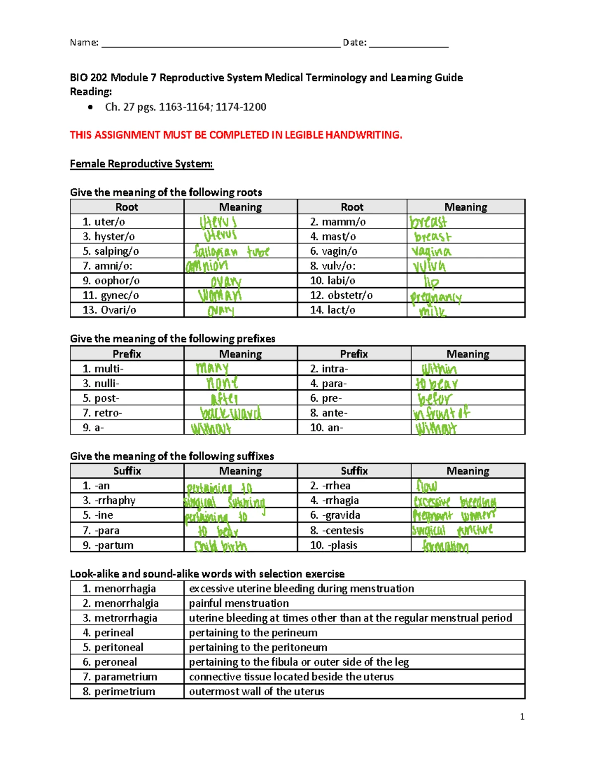 BIO 202 Module 4 Respiratory System Terminology & Learning Guide - Studocu