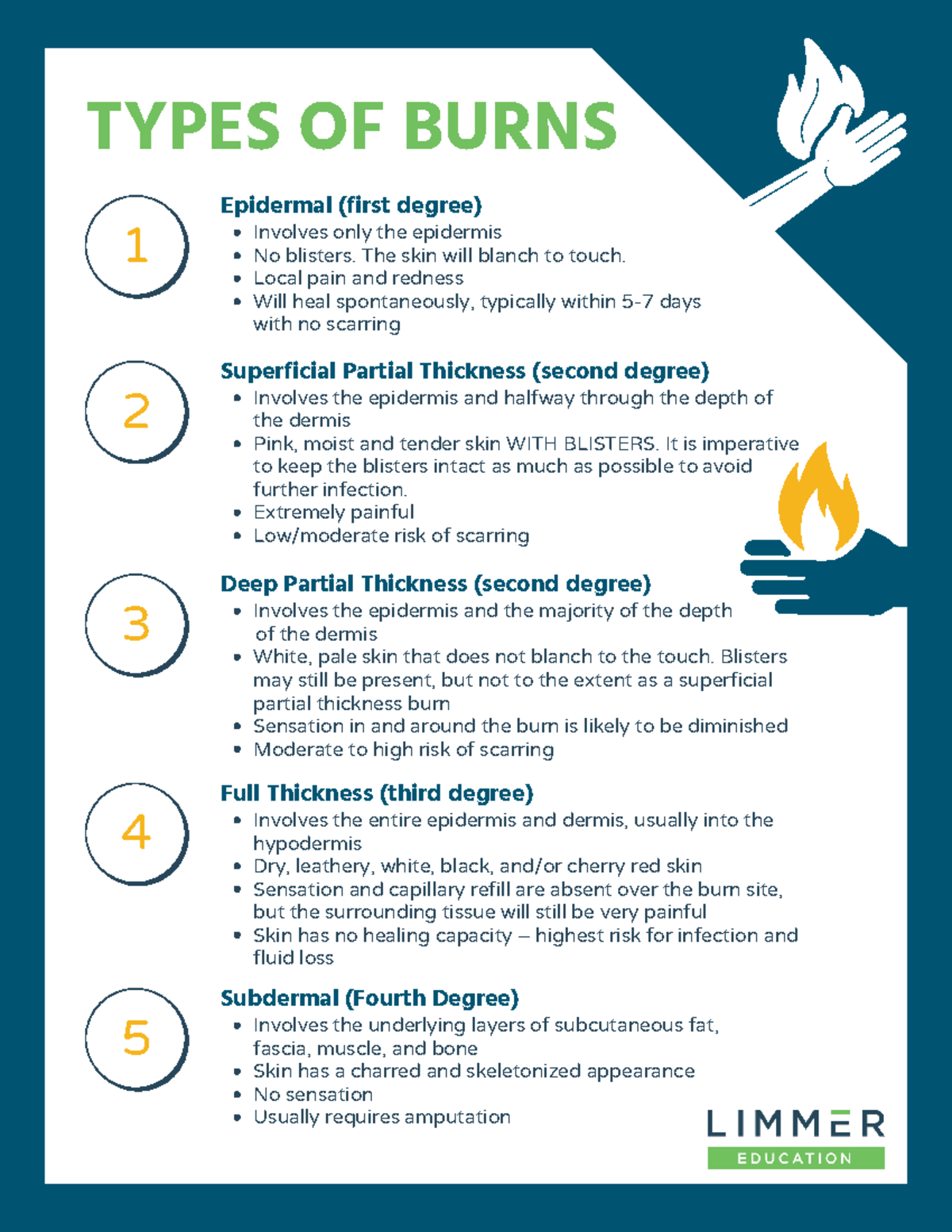 Types of Burns: A Comprehensive Guide to Burn Depths and Healing - Studocu
