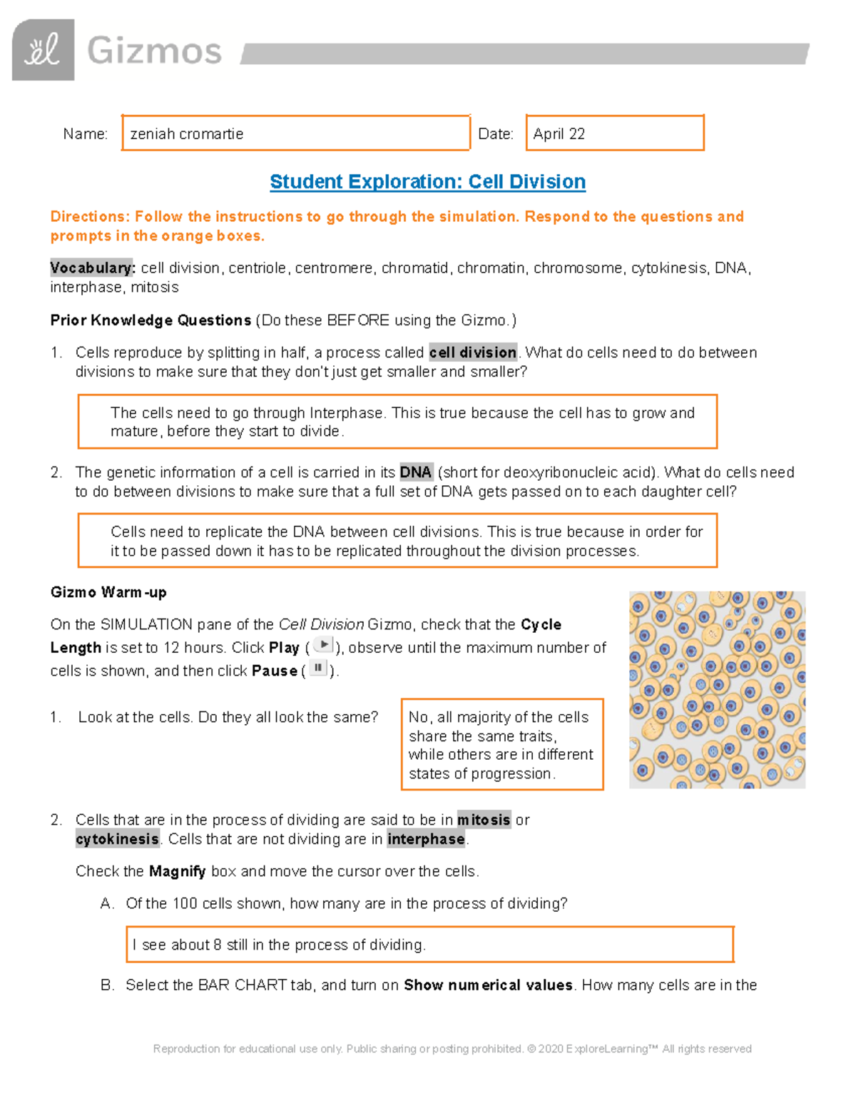 Cell Division SE: Student Exploration Guide and Simulation Insights ...