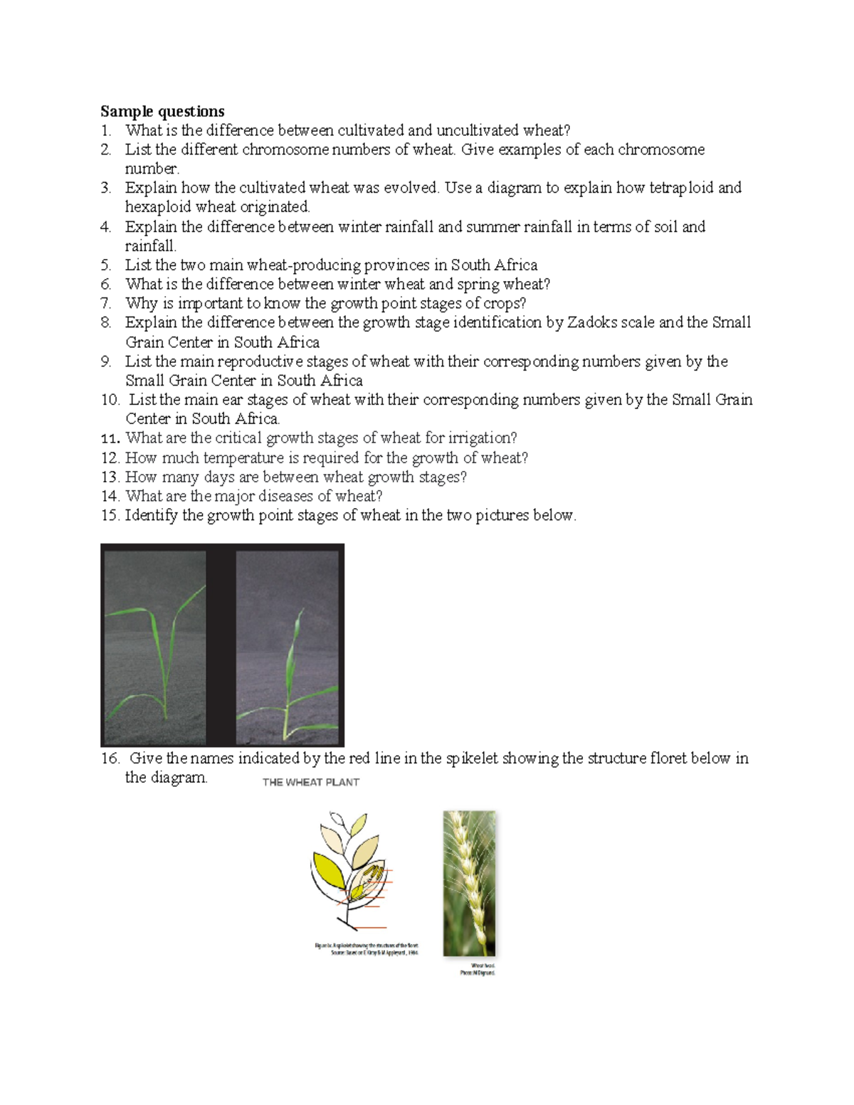 Sample questions - Sample questions What is the difference between ...