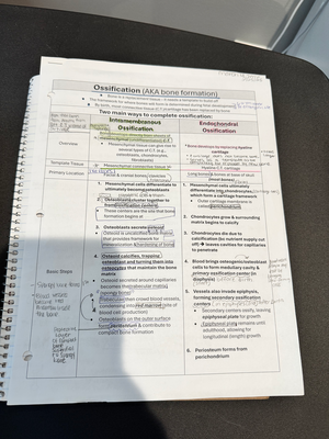 Anatomy and Physiology 2e - Student Solution Guide - STUDENT SOLUTION GUIDE ANSWER KEY Chapter 1 ...