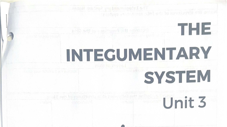 Integumentary System Unit 3 Notes: Detailed Overview and Functions ...