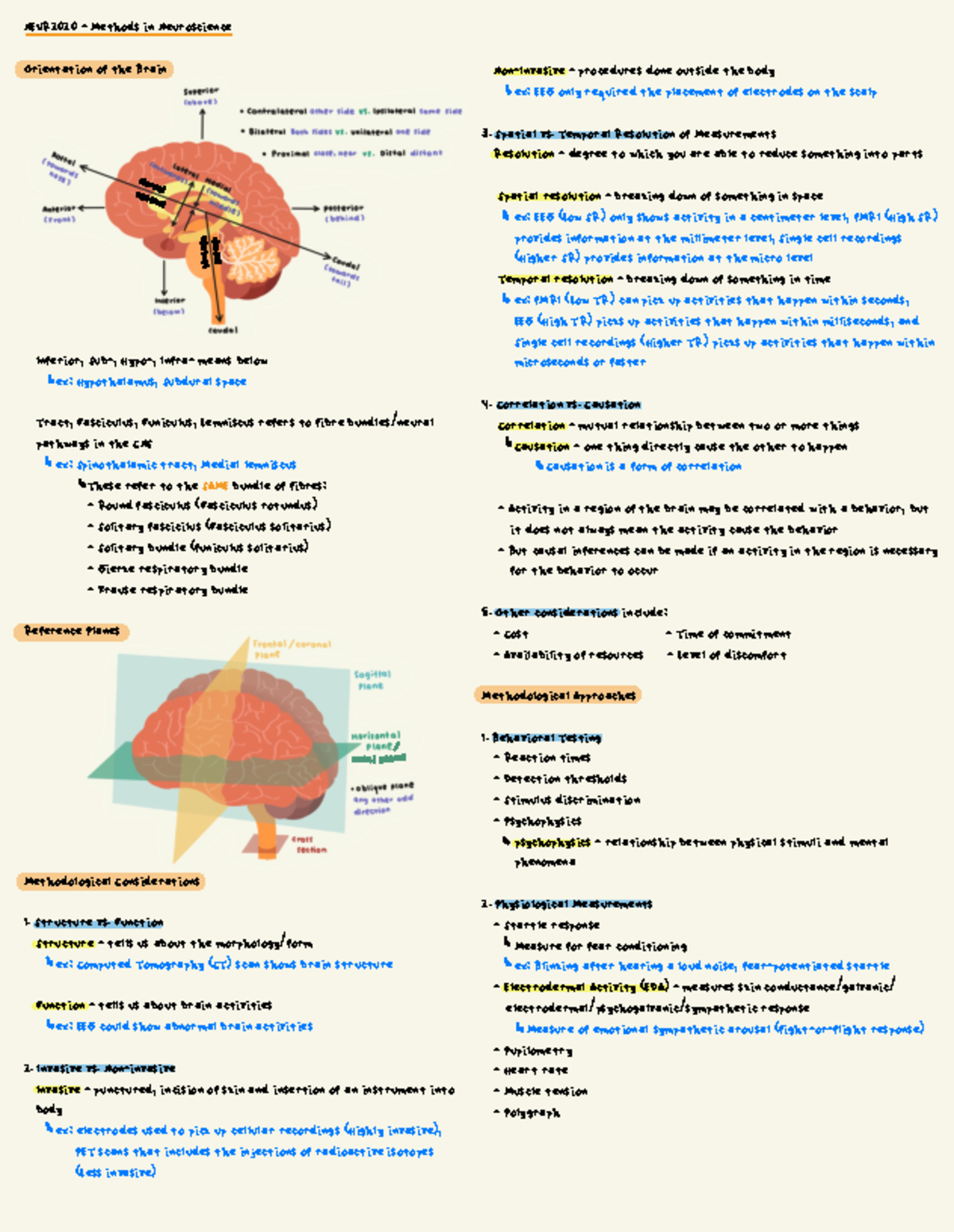 NEUR2020 - Neuroscience Lectures Overview: Methods & Brain Basics - Studocu