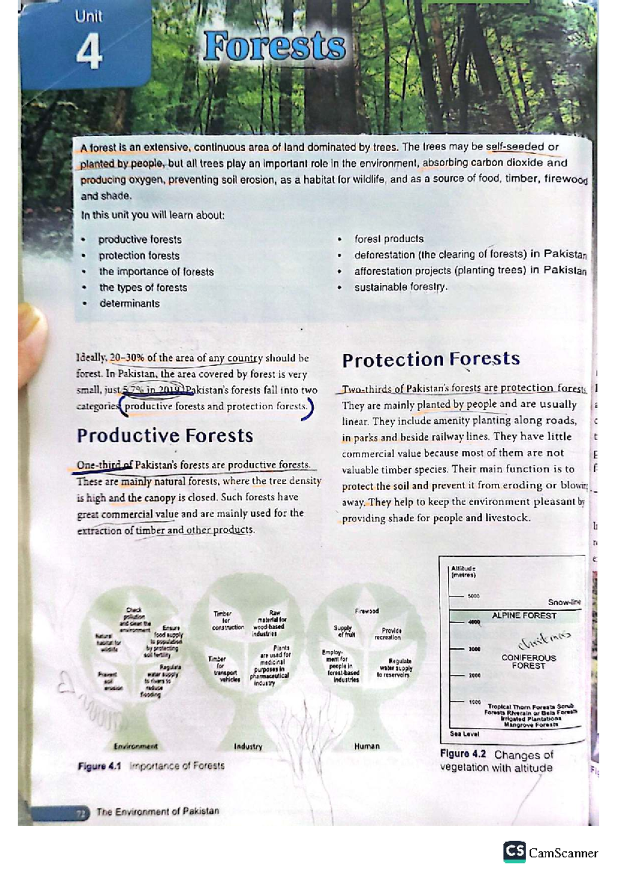 Unit 4: Forests - Importance, Types, and Conservation in Pakistan CS ...