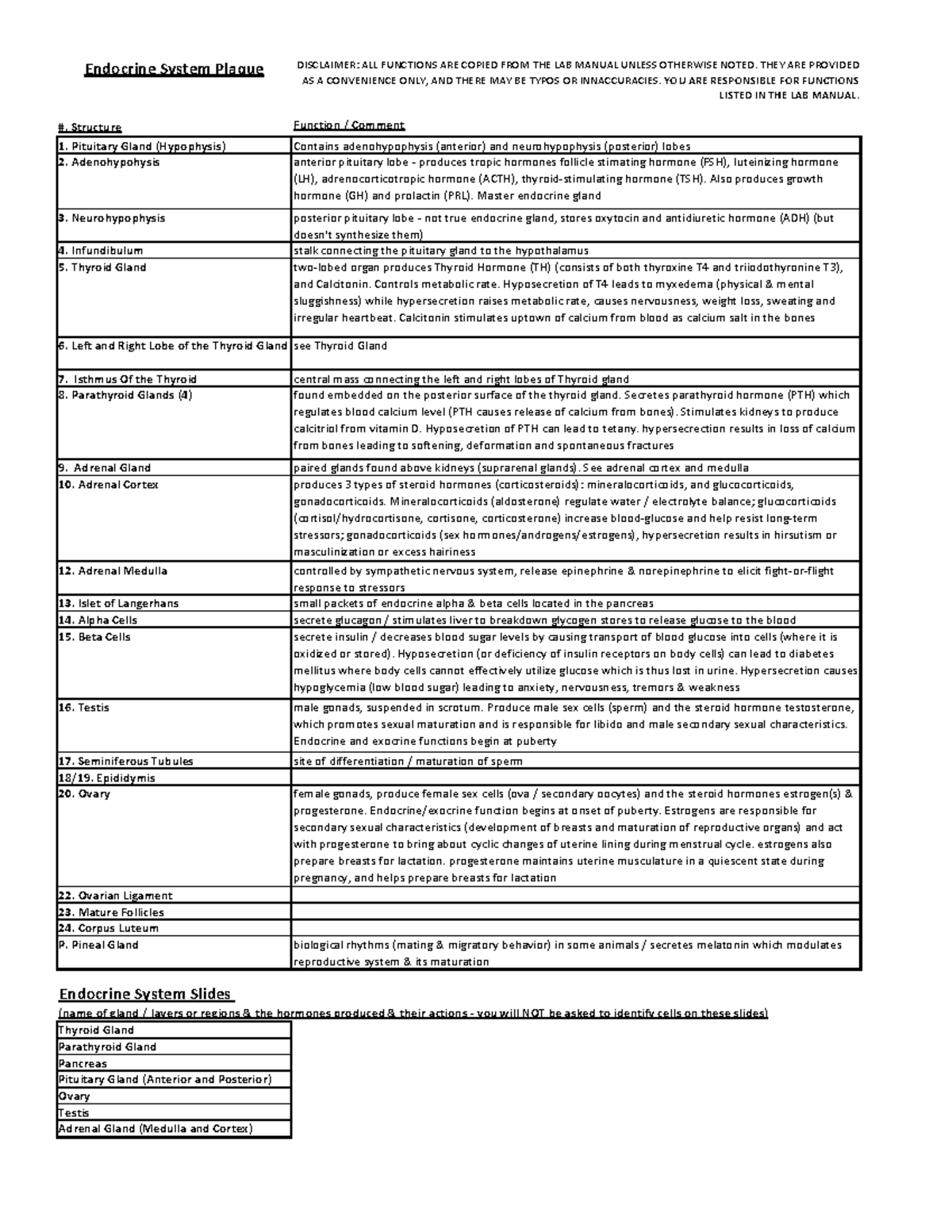 SP16 LAB 2 Endocrine System Model Keys - Vocabulary Practice - Studocu