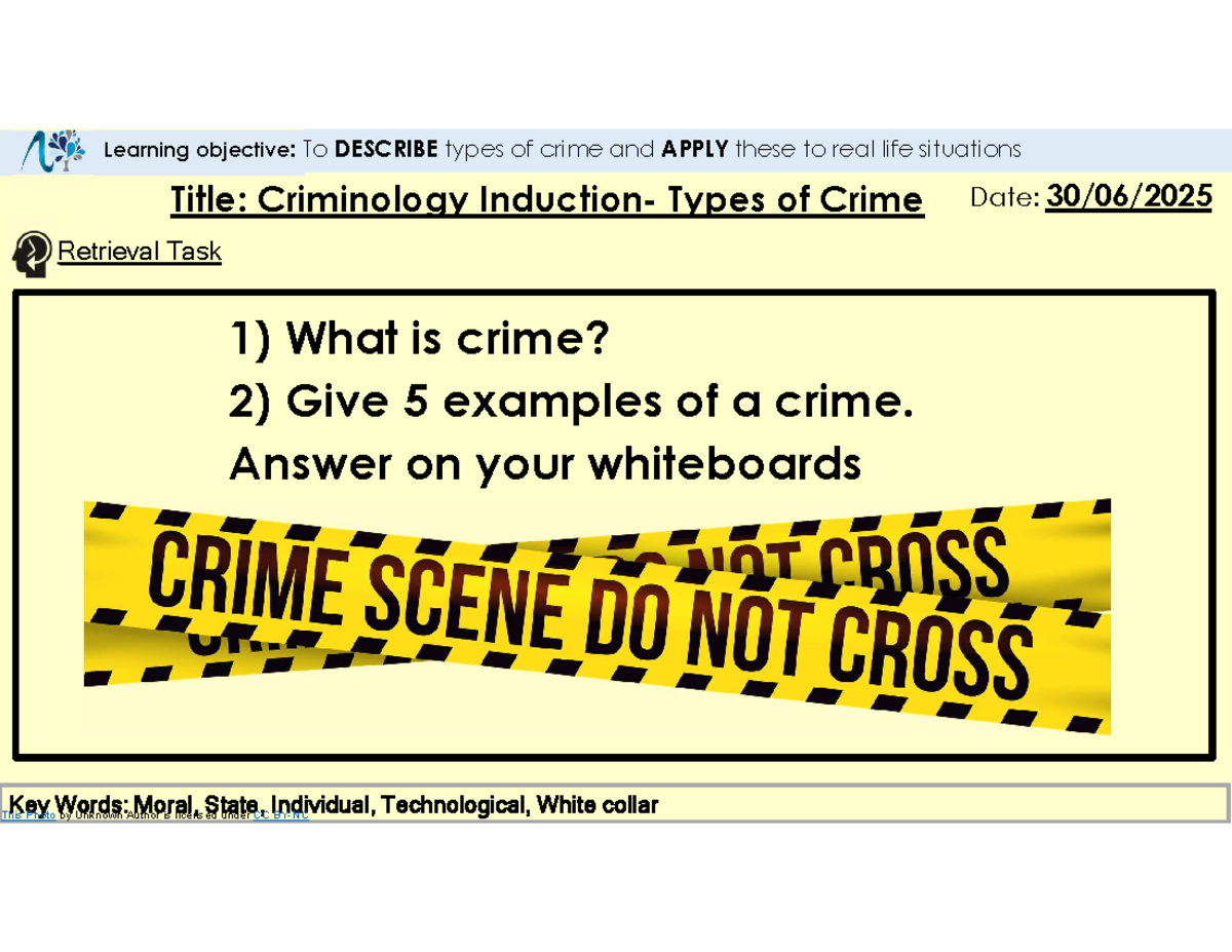 Criminology Induction Lesson: Types of Crime Overview and Examples ...
