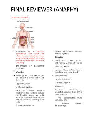 [Solved] 1 Illustrate and label the sagittal view of the head and neck ...