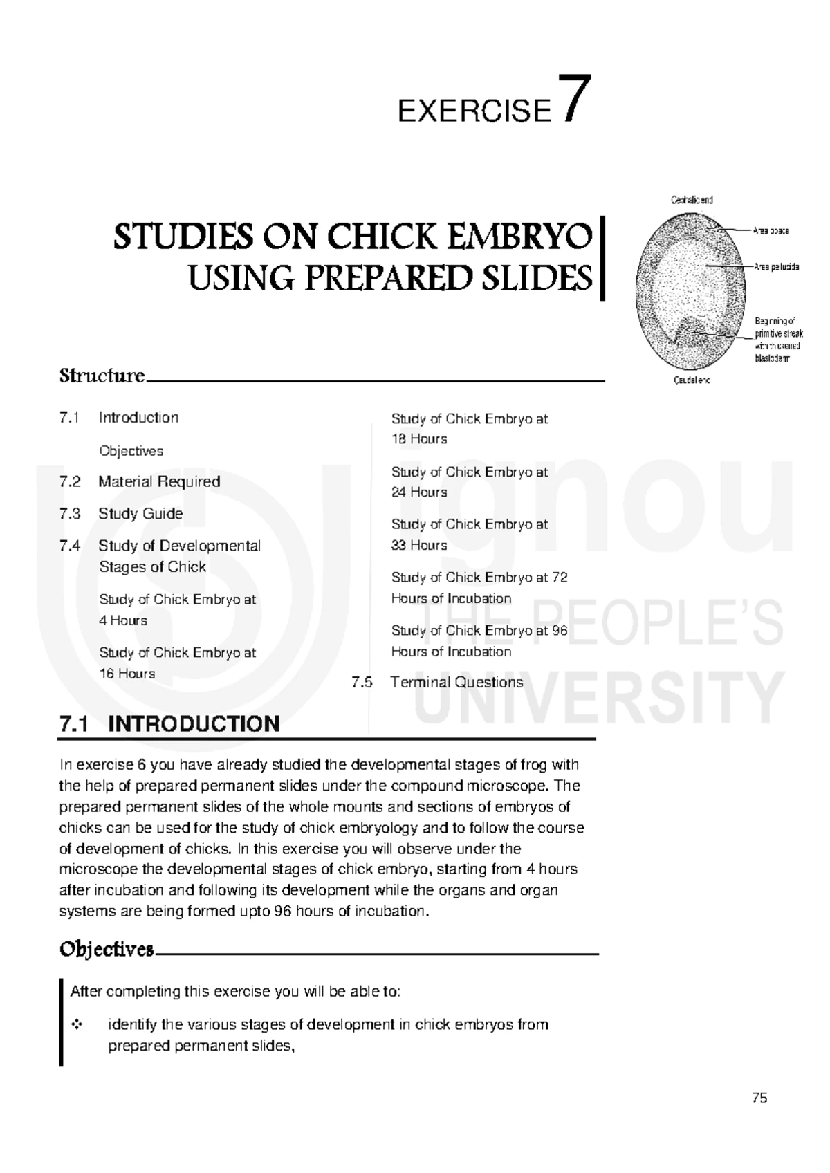 Exercise 7 Chick Embryo - Exercise 7 Studies on Chick Embryo Using ...