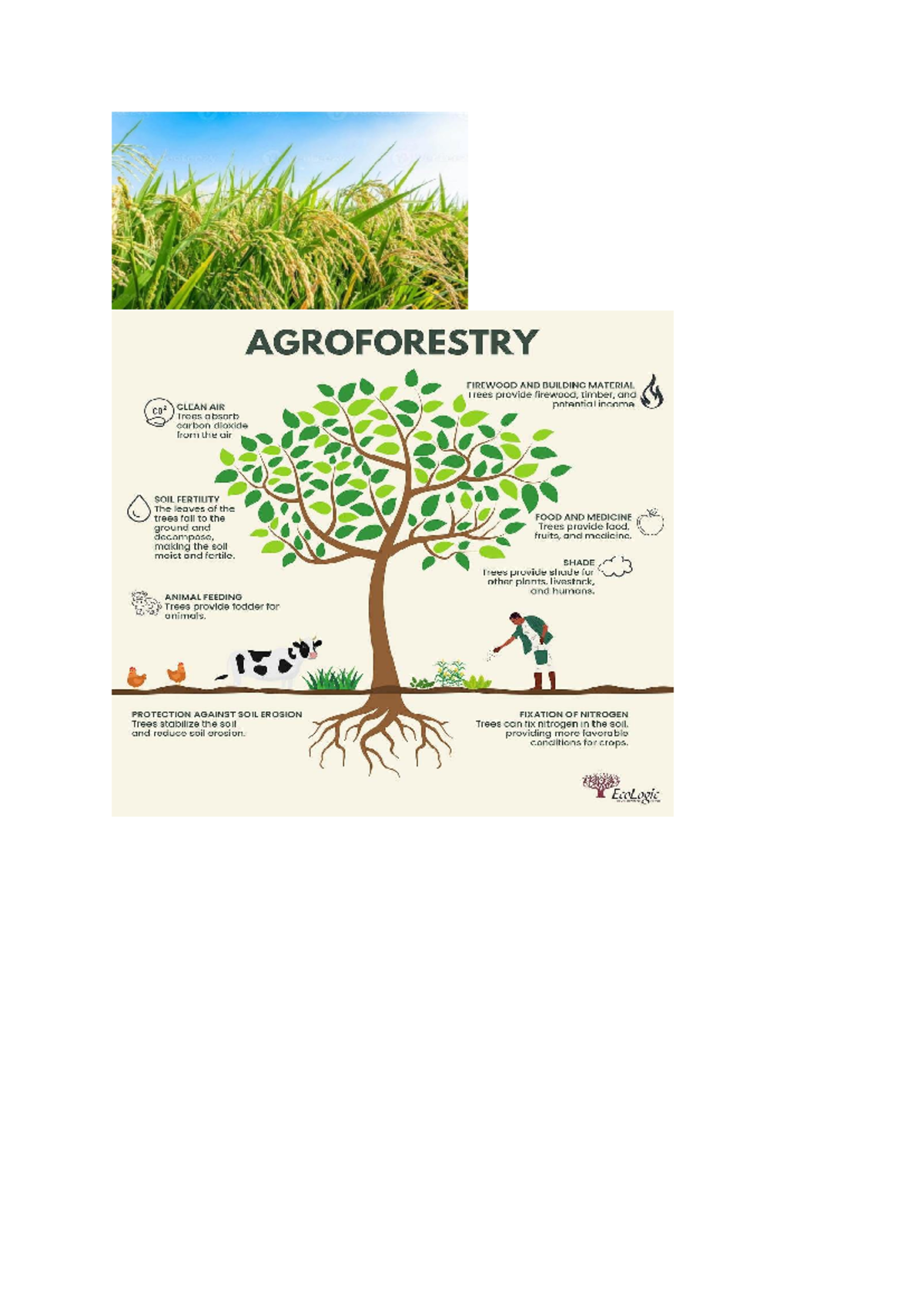 AGRO 101: Benefits of Trees in Agroforestry Systems - Studocu