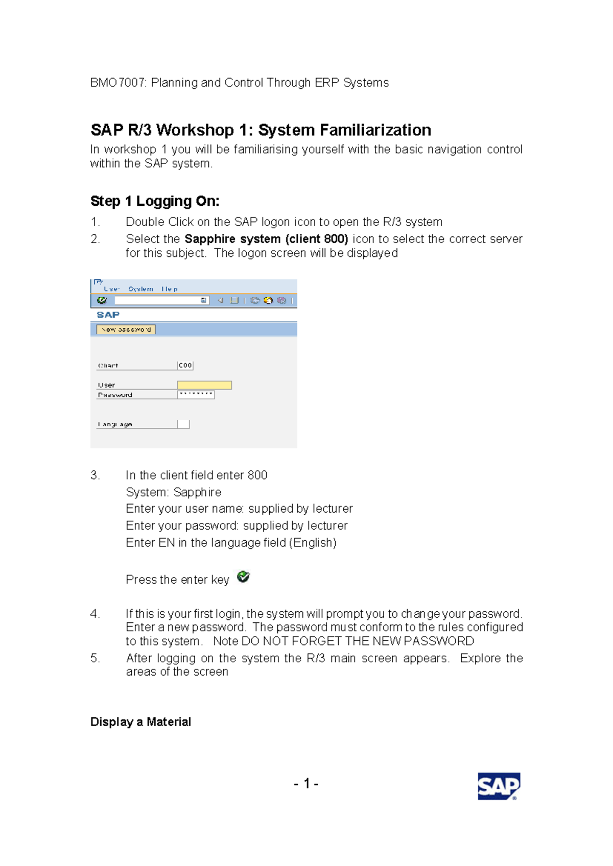 BMO7007: Workshop 1 - SAP System Familiarization & PP Module Intro ...