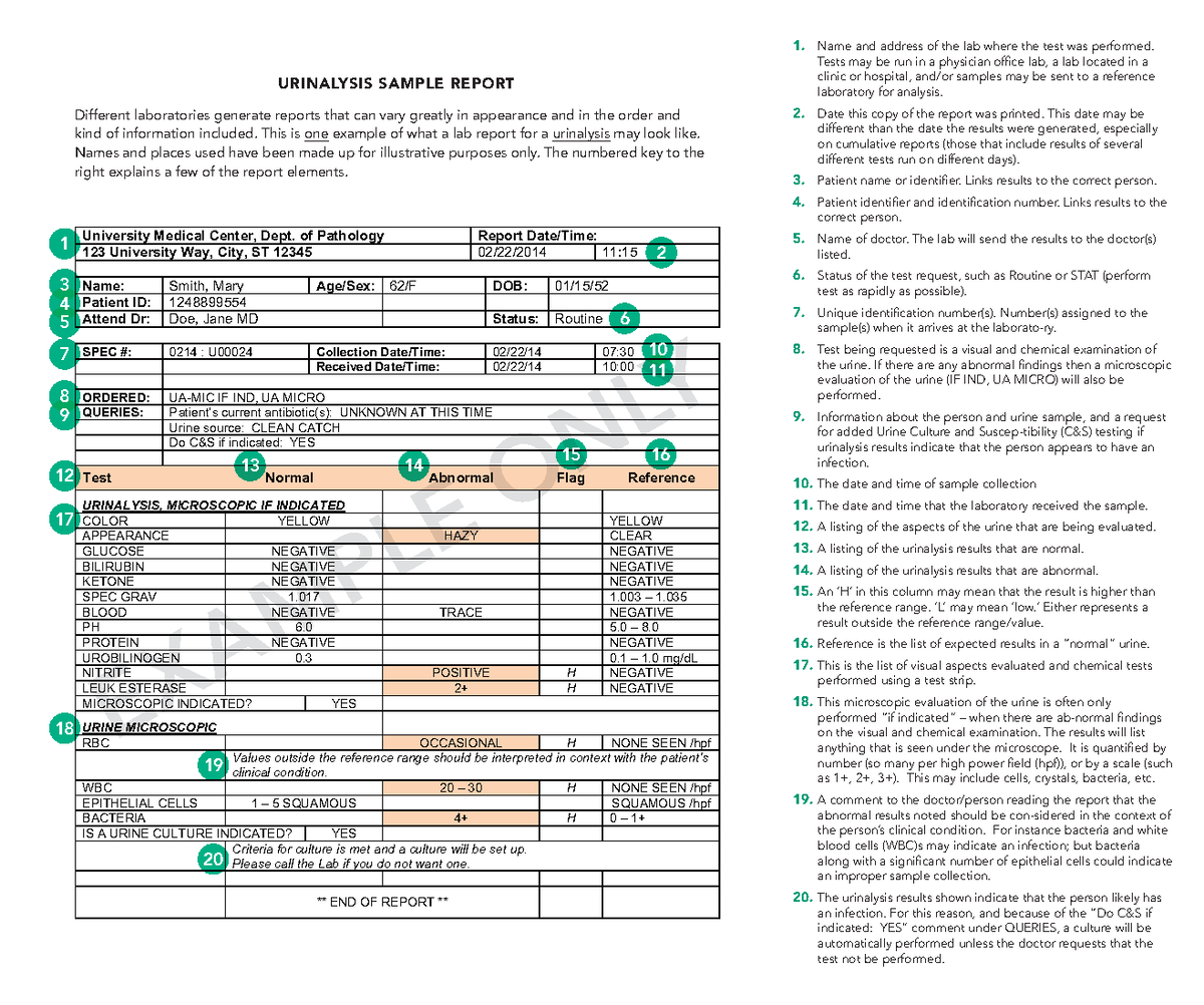 Urinalysis sample report with notes 1 - Urinalysis Sample Report ...