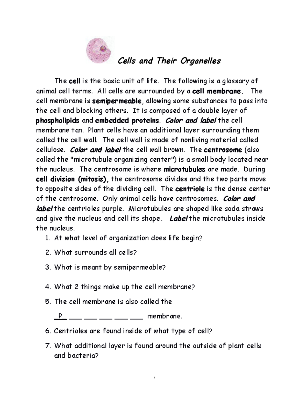 Cells and Organelles: A Detailed Guide for Biology Studies - Studocu