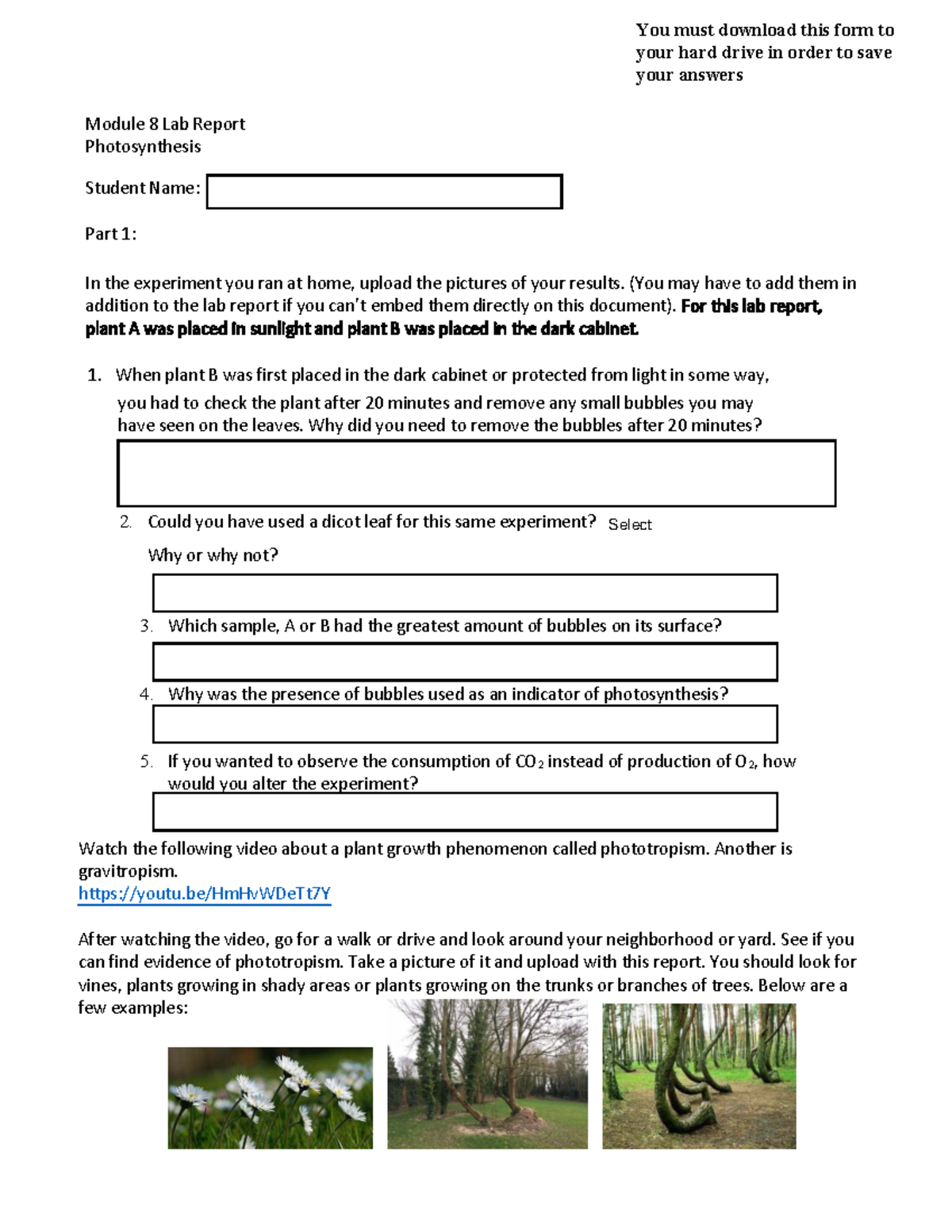 Module 8 Lab Report: Photosynthesis Experiment Analysis - Studocu