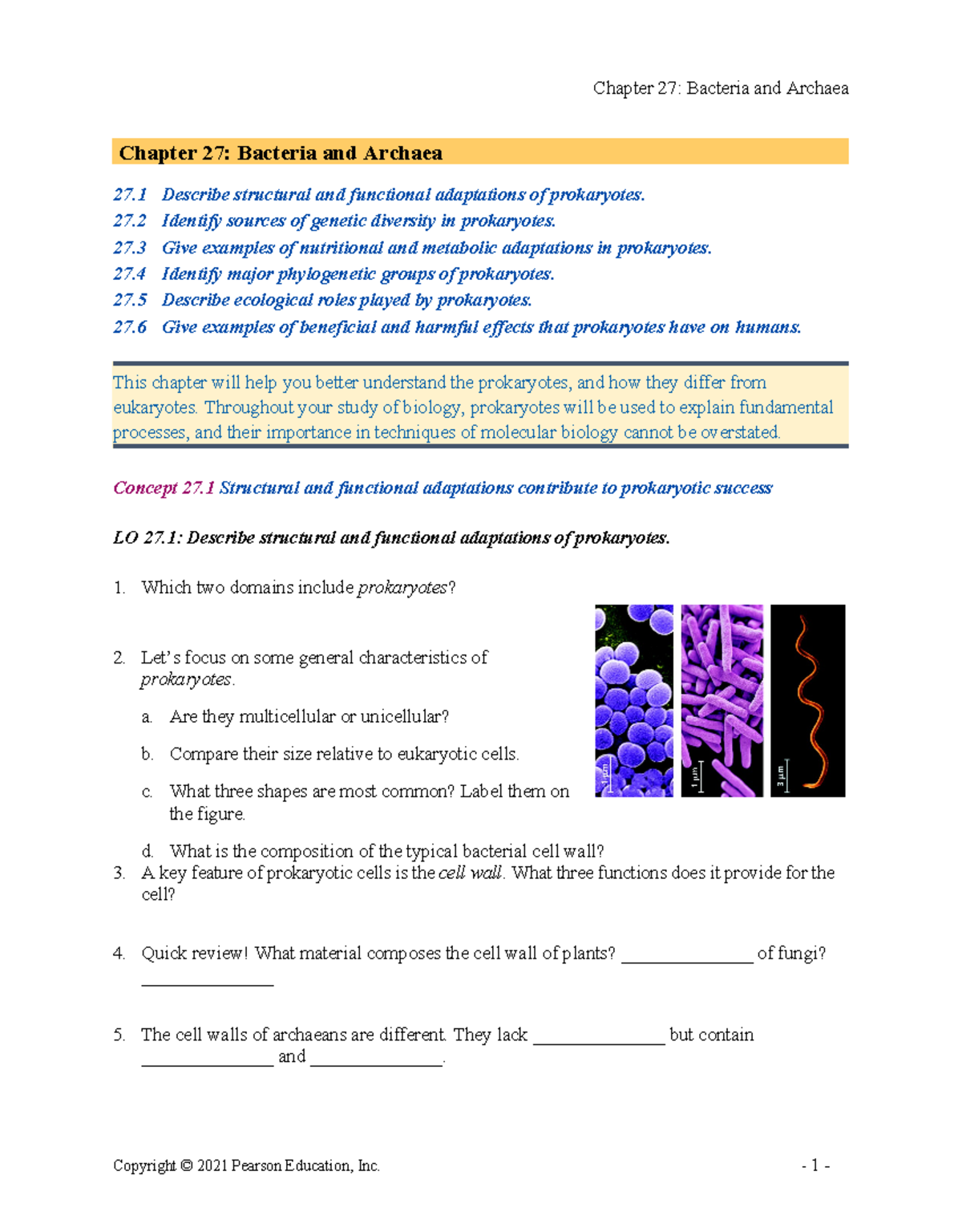 Ch 27 Active Reading Guide: Prokaryotes, Adaptations, and Roles - Studocu