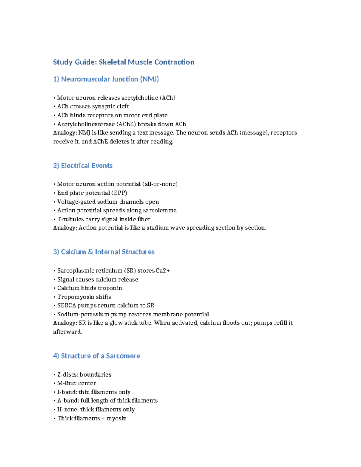 Skeletal Muscle Contraction Study Guide: NMJ & Sarcomere Details - Studocu