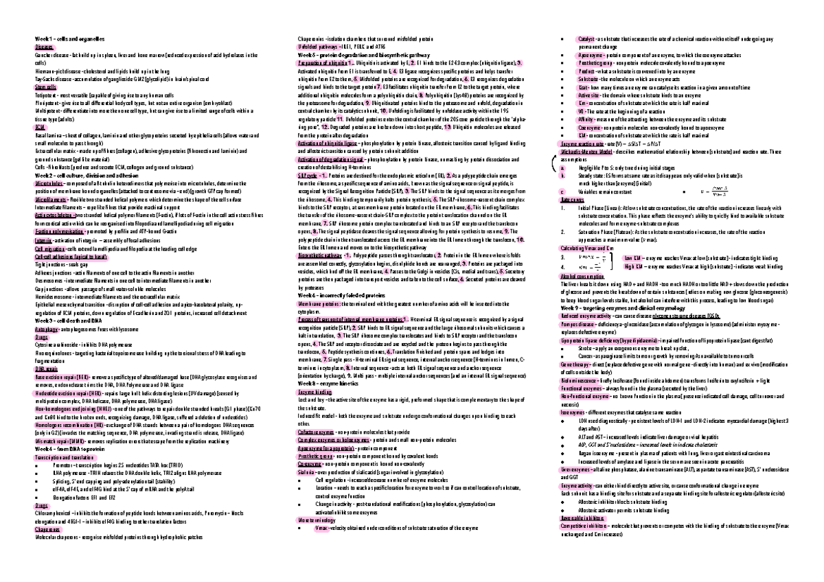 Biochem 101: Week-by-Week Overview of Cellular Processes and Enzymes ...