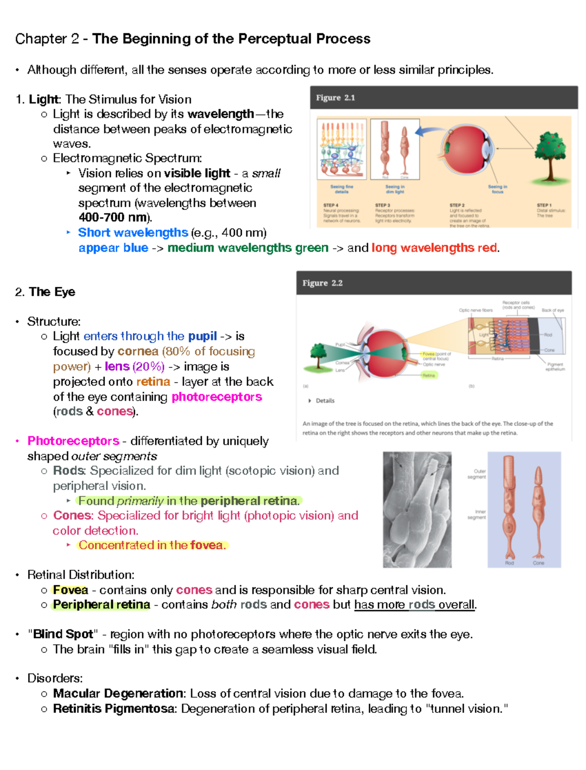 Chapter 2 - Understanding the Perceptual Process Fundamentals - Studocu