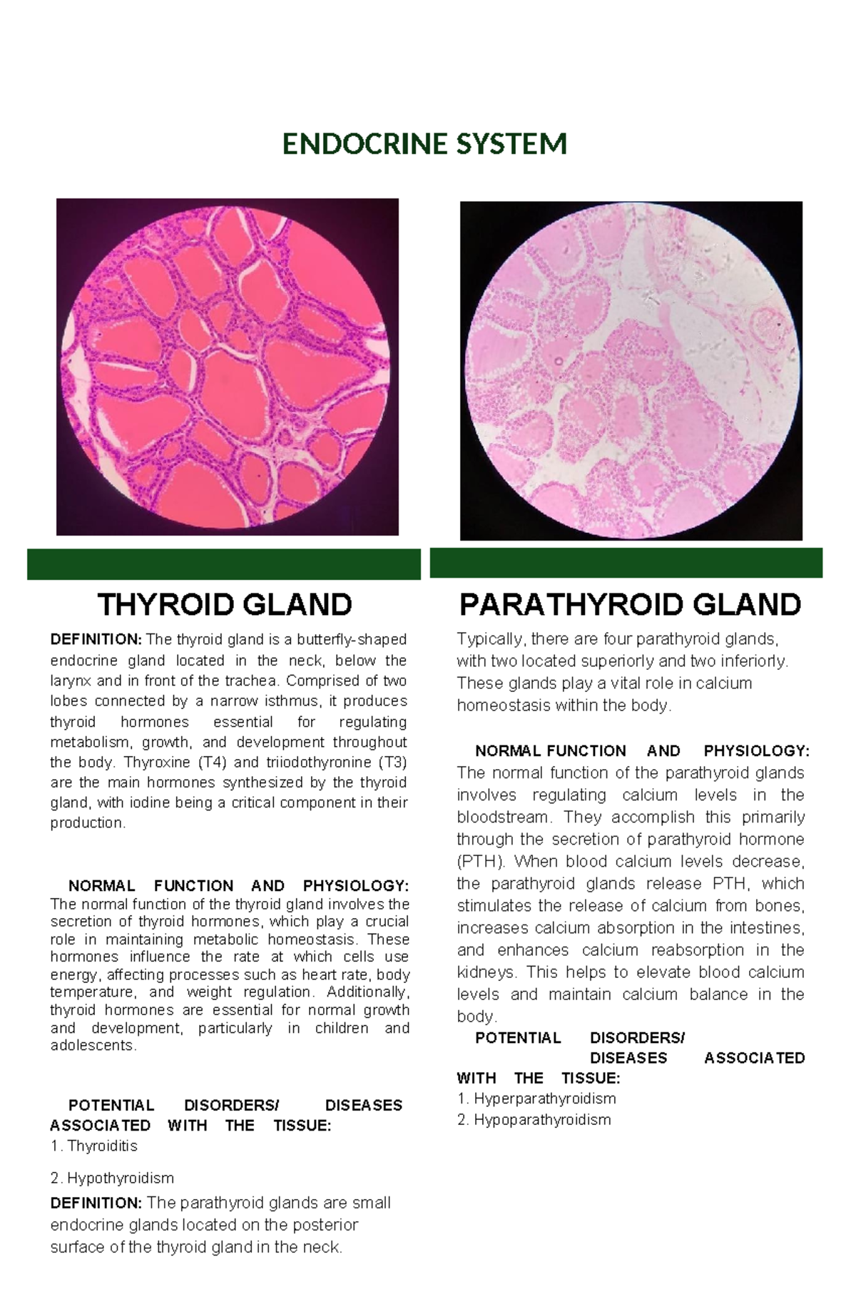 Histology tisues - ENDOCRINE SYSTEM THYROID GLAND PARATHYROID GLAND ...