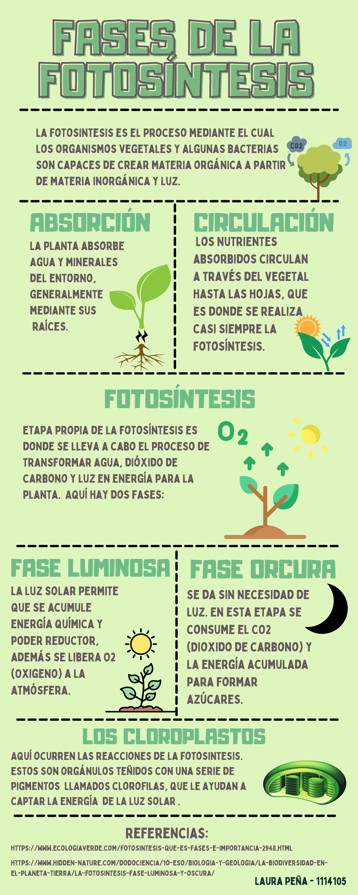 A Través Del Proceso De Fotosíntesis La Fotosíntesis Twinkl