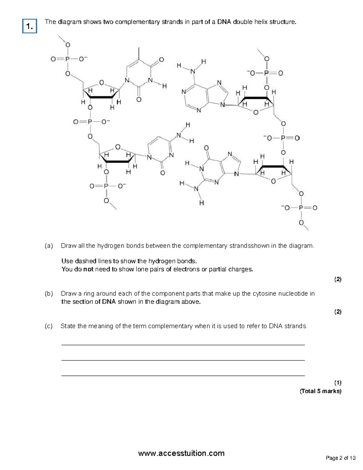 DNA-QP: Structure, Bonds, and Reactions in DNA and Cisplatin - Studocu