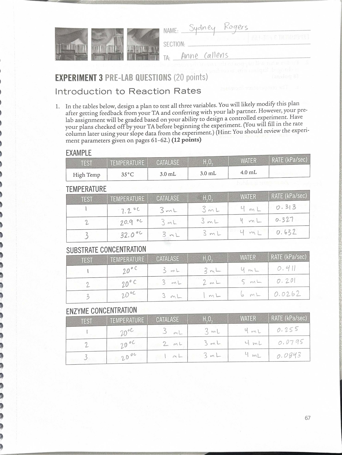 Experiment 5: Reaction Rates Analysis - CHEM 107 - Studocu