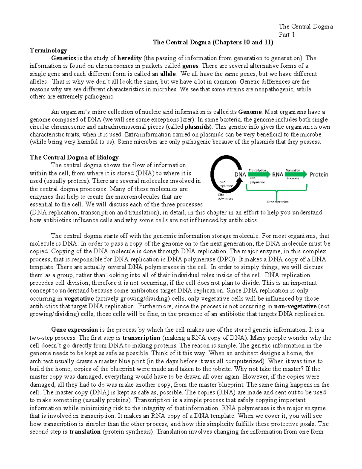 Central Dogma of Biology: DNA Replication, Transcription, and ...