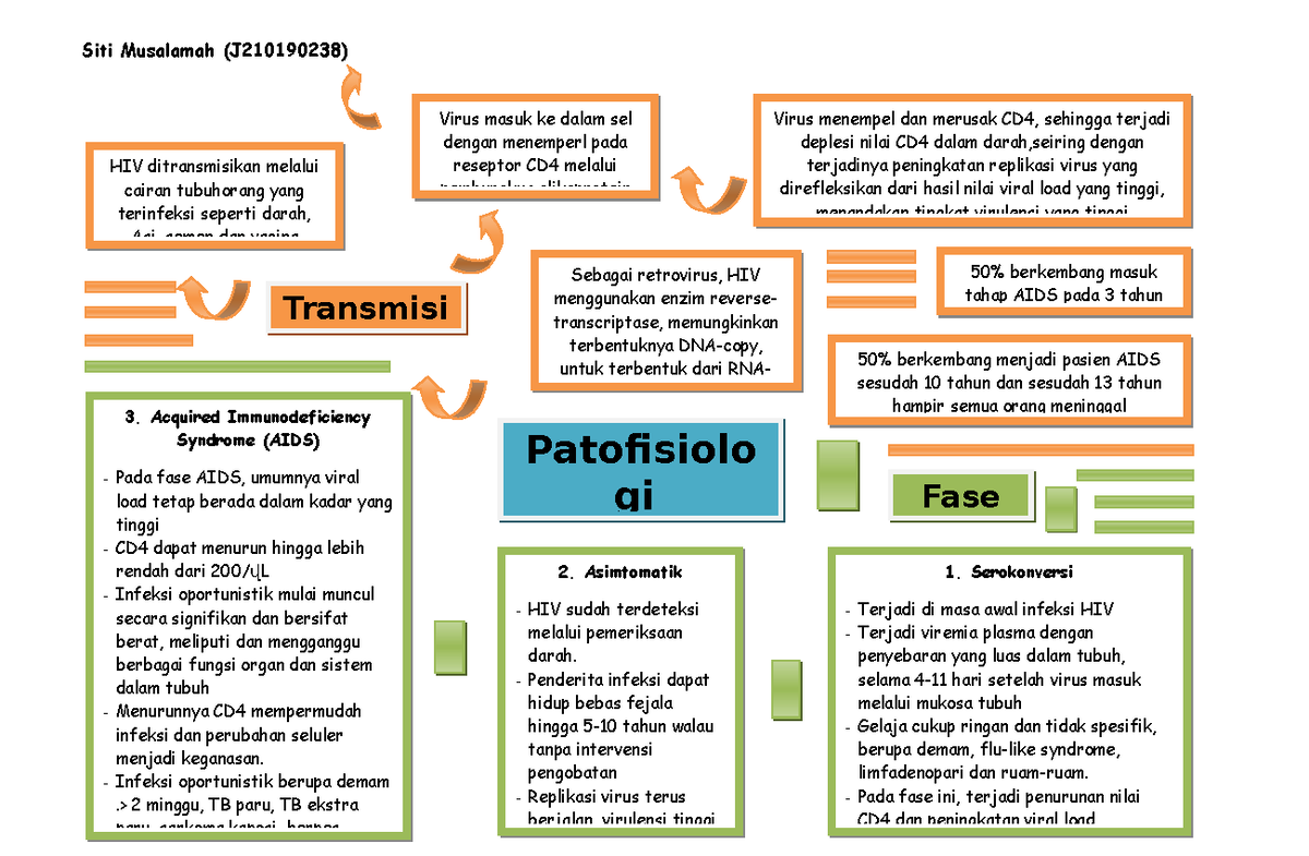 Patofisiologi HIV/AIDS: Mekanisme Transmisi dan Fase Perkembangan - Studocu