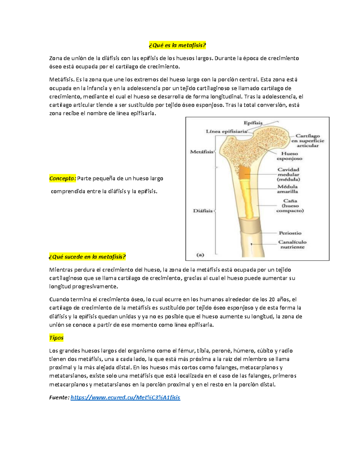 Anatomia-Tejido óseo - Warning: TT: undefined function: 22 Warning: TT: undefined function: 22 ...
