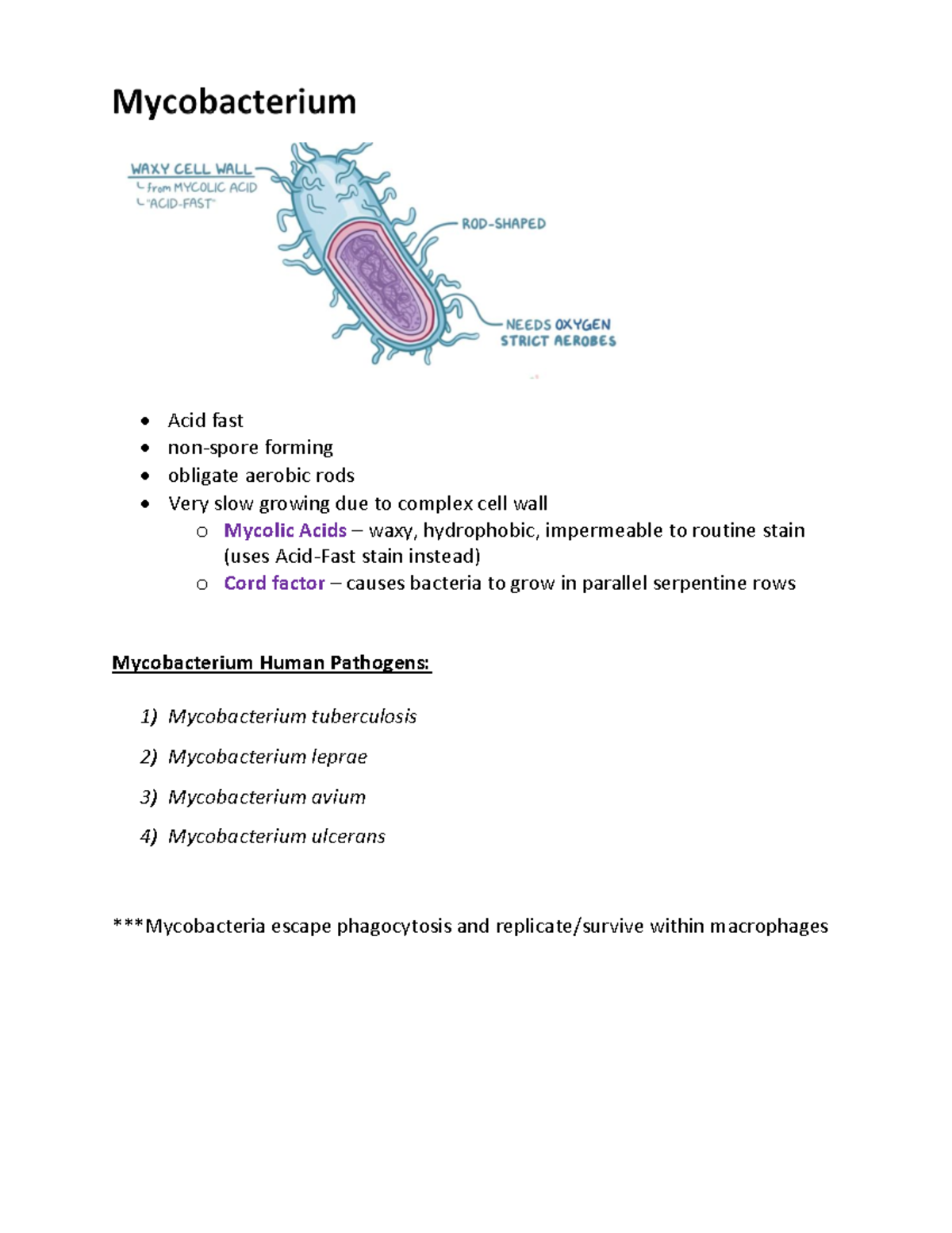 Mycobacterium - Review and Summary of important points of the genus ...