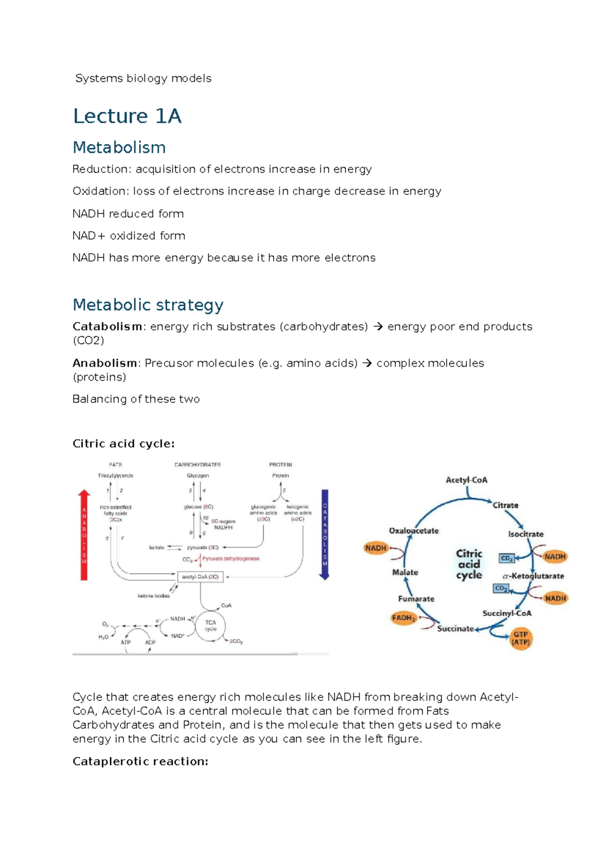Systems Biology Models: Lecture 1A - Metabolism Overview and Key ...