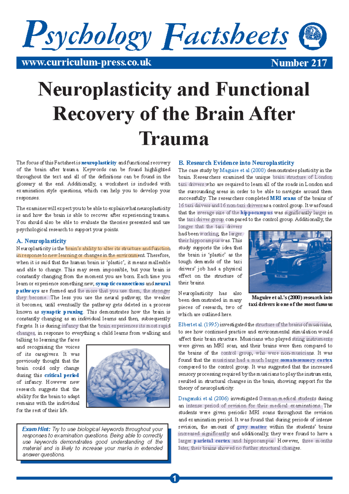 217 Neuroplasticity and Functional Recovery of the Brain After Trauma ...