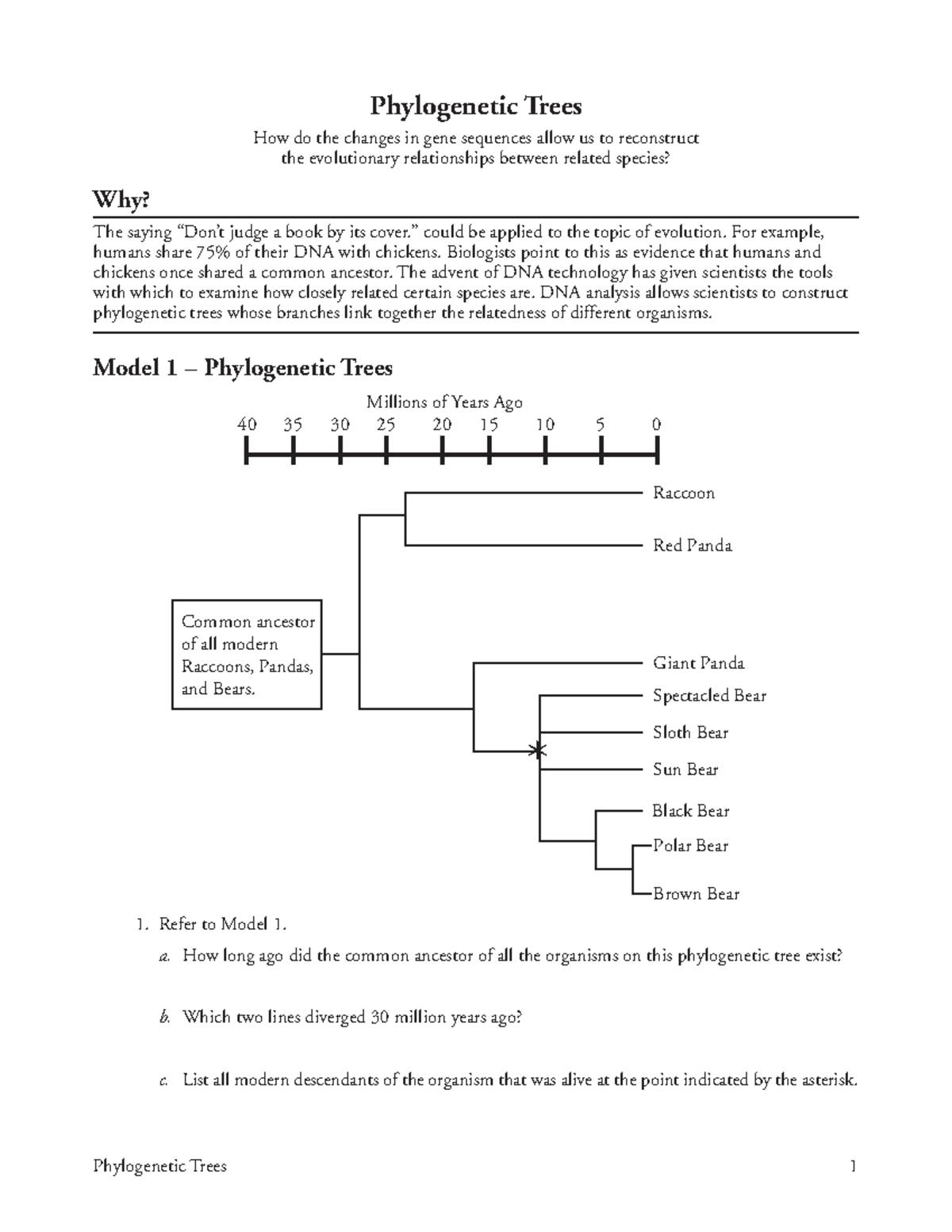 AP Biology Phylogenetic Trees POGIL - Activity Overview and Questions ...