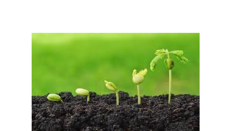 Performing Nursery Operations in Agricultural Crops Production NC II ...